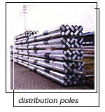 Sarwaja Timur : Products